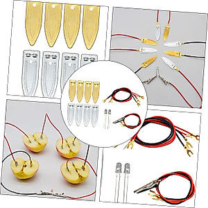 BCOATH 2 Sets Fruit Power Generation Experiment Equipment Best Chemical Experiment Material Scientific Experiment Supplies Lemons Toy Batteries Battery Zinc Copper Electrode Strips Metal