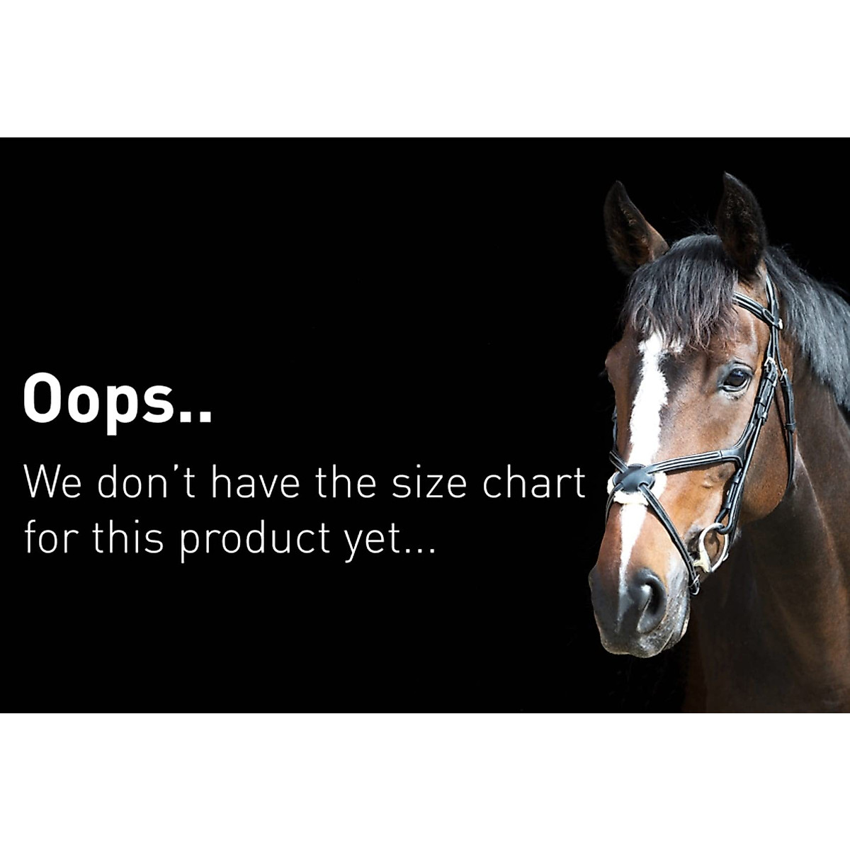 HORZE Horse Shipping Boots Set of 4 - Peacoat Dark Blue - Cob