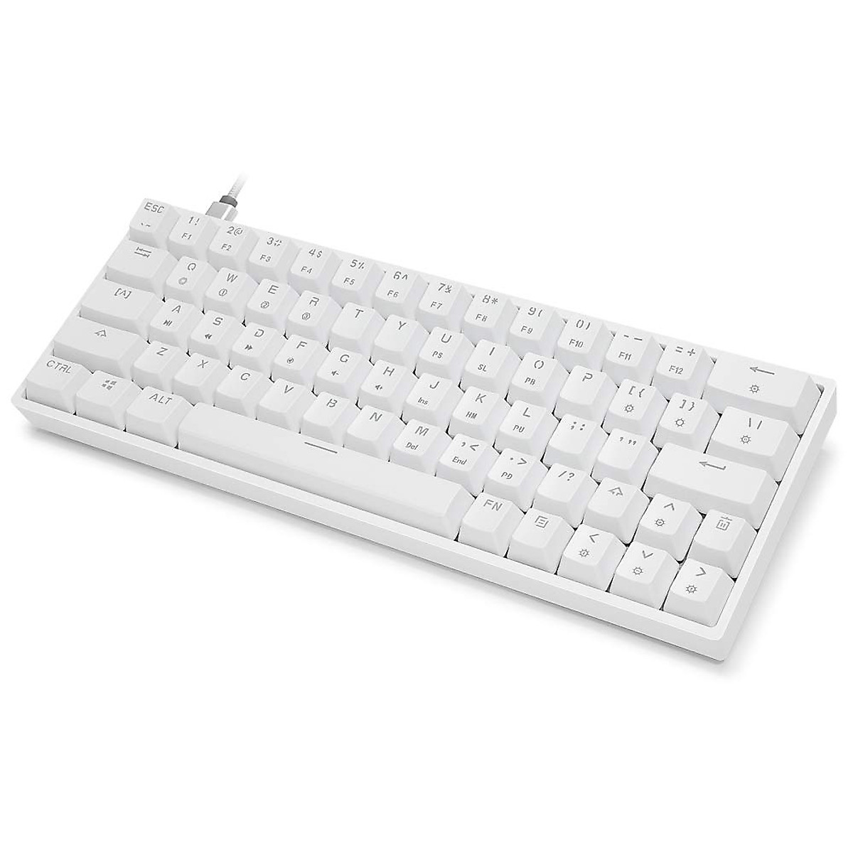 SK64 64 Tasti Hot Swap Tastiera Meccanica Cablata con RGB Retroilluminato ABS Tasti Freccia Tasti Impermeabile Programmabile per Win/Mac/Gaming (Gateron Ottico Marrone, Custodia Bianco)