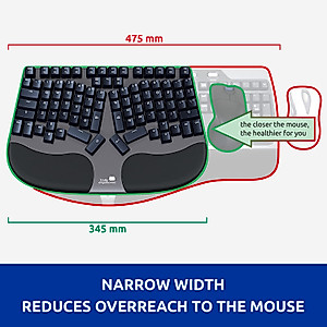 Truly Ergonomic Cleave Keyboard - Tactile Optical Mechanical Switches Better Than Cherry MX, Natural Typing, Comfortable Palmrest, Backlight, Strong Aluminum Body, Best Split Keyboard, Windows/Mac
