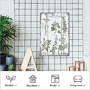 Putuo Decor Botanical Wall Decor, Education Infographic Herb and Spices Sign, Country Farmhouse Decoration Plaque for Bedroom, Kitchen, Garden, 12x8 Inches Aluminum Metal Art Sign
