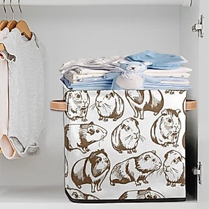 TropicalLife Cute Guinea Pigs 13x13x13 Inch Large Fabric Storage Cubes, Collapsible Cube Storage Bins Organizer Boxes with Leather Handles Cube Baskets for Organizing Closet Shelves