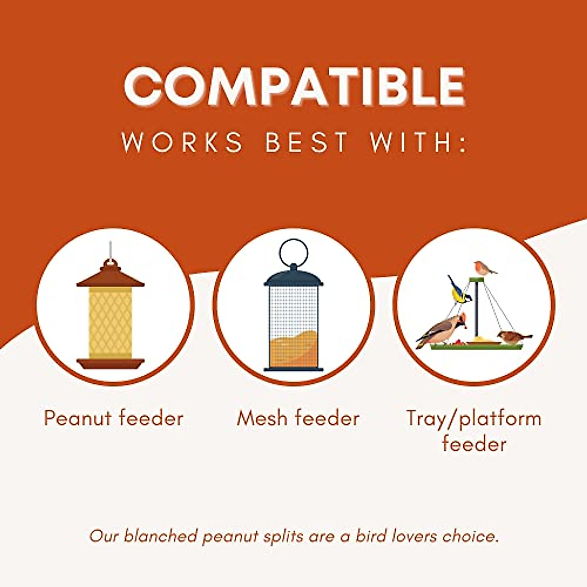 prdseed Fresh Shelled Peanuts for Birds & Squirrels - Raw Wildlife Peanuts, No Mess Bird Seed, No Waste Bird Seed for Wild Birds & Backyard Squirrels (10lbs)