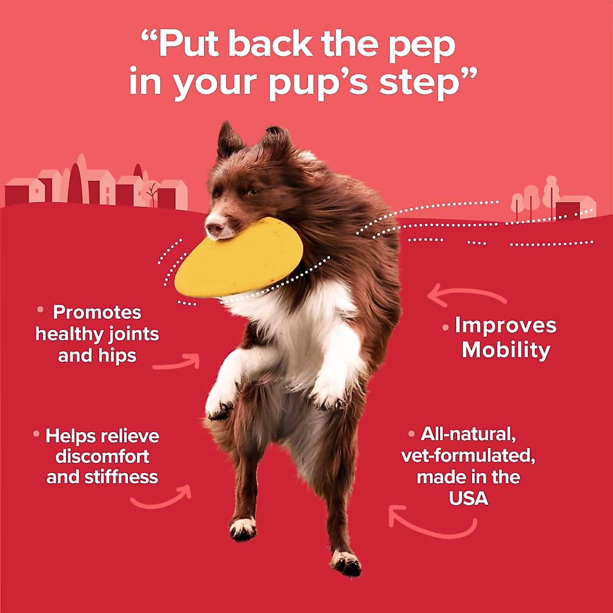 Okoa Pet "Happy-Go-Puppy Mobility Chews - Hemp Dog Treats for Hip & Joint Pain Relief - Vet Formulated, Natural Supplement with Green Lipped Mussel & Roe Oil, Reduces Inflammation - Made in The USA