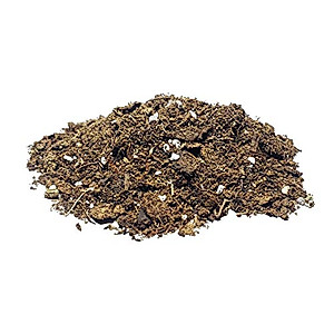 Money Tree Soil Blend All Natural Soil Mixture Formulated for Repotting and Planting Money Tree Plants 2 Quart Sized Bag