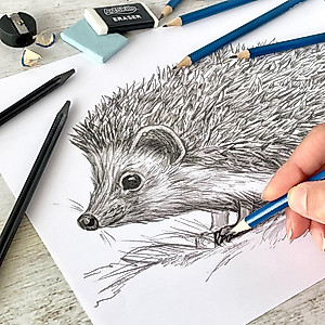 ArtSkills Sketch Pencils for Drawing, Graphite Art Pencil Set for Sketching & Shading, 8pc