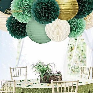 NICROLANDEE Wedding Party Decorations - 12PCS Emerald Green Hanging Tissue Pom Poms Gold Foil Dots Paper Lantern Confetti 30G for Rustic Style Bridal Shower Birthday Botanical Baby Shower Decorations