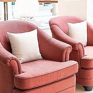 Empyrean Bedding Throw Pillow - 24 x 24 Inches Decorative Pillow Insert - Cotton Blend Outer Shell Indoor & Outdoor Pillows (Pack of 2, White)