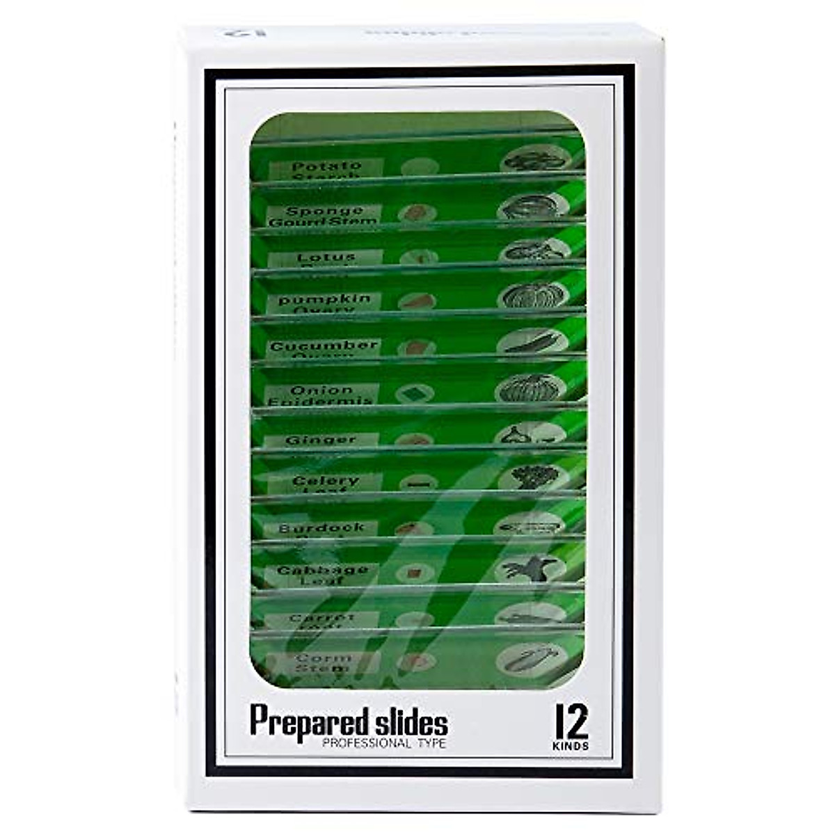 LINKMICRO 48pcs Prepared Plastic Microscopes Slides with 4 Types of Glass Biological Specimen for Kids Students