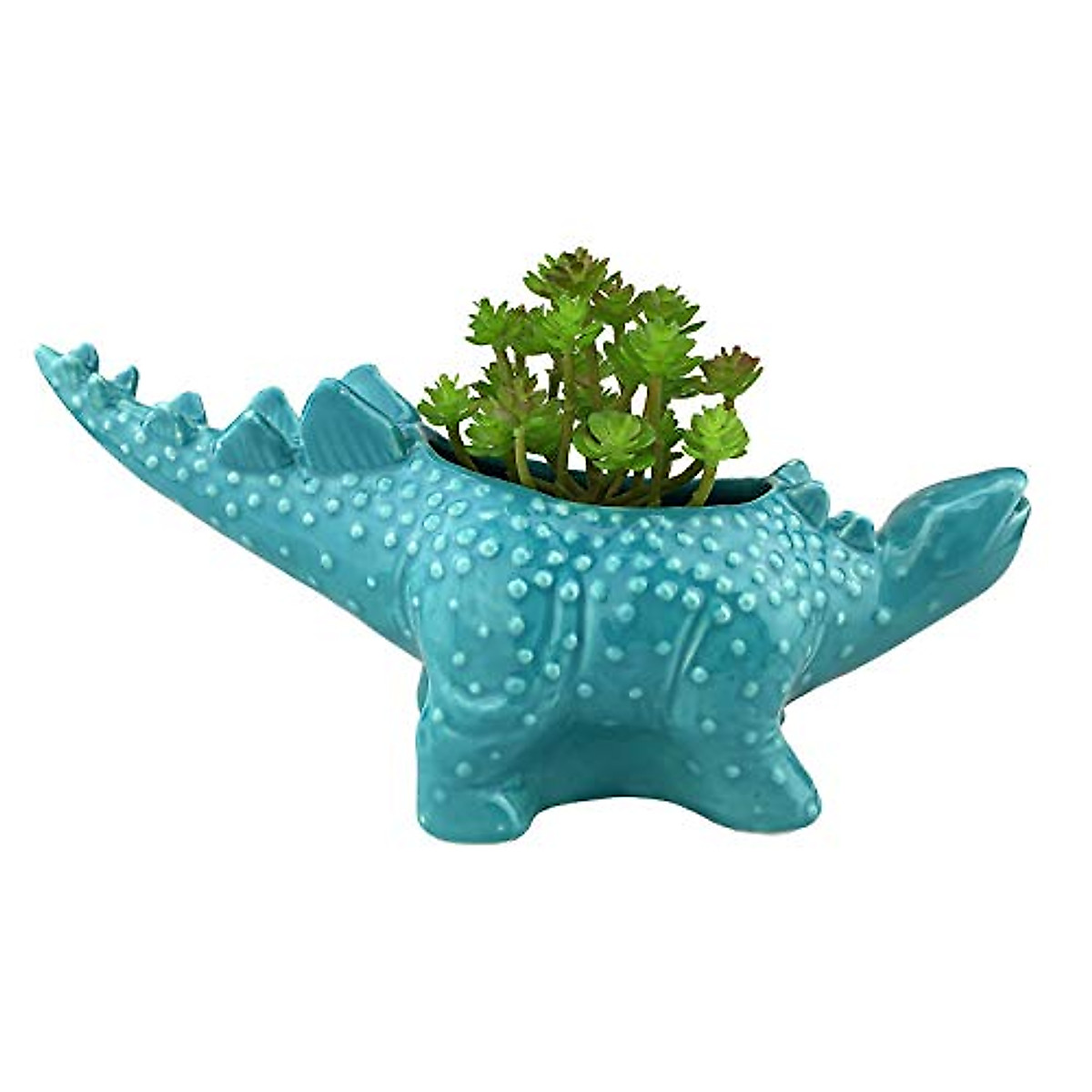 VanEnjoy 12 inches Cute Cartoon Dinosaur Ceramic Succulent Planter, Water Culture Hydroponics Bonsai Cactus Flower Pot,Air Plant Vase Holder Desktop Decorative Organizer (Stegosaurus, Blue)