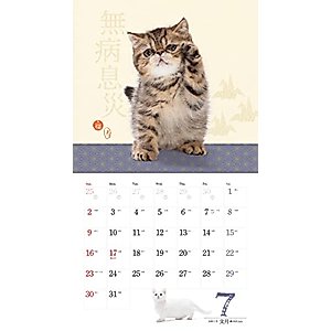 カレンダー2023 開運まねき猫 (月めくり/壁掛け) (ヤマケイカレンダー2023)