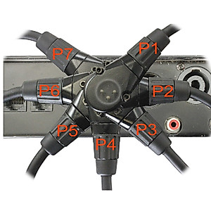 MCSPROAUDIO Male to Female XLR Cable with Black connectors 20 FT Foot Feet, Right-M to Straight-F