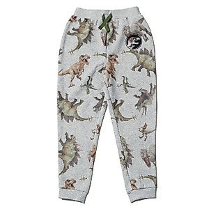 Jurassic World Dinosaur T-Rex Big Boys Fleece Zip Up Hoodie and Jogger Pants Set Logo Gray 10-12