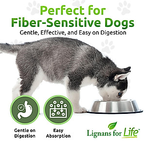 Lignans For Life HMR LIGNANS 10mg Capsules - Perfect for Small Dog Breeds - Dog Vitamin for Healthy Pet | Natural Dog Multivitamin | Dog Wellness Supplement | Pet Vitamin | Dog Nutritional Supplement
