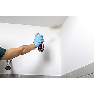 Rust-Oleum Zinsser 287512-6PK Mold Blocking Spray Primer, White, 13.00 Fl Oz (Pack of 6)