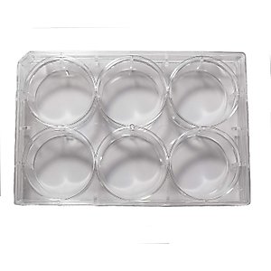 ADVANGENE 6 Well Non-Treated Sterile Flat Tissue Culture Plate with lid (50/Case)