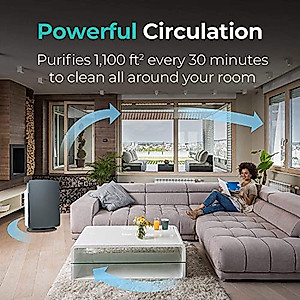 Alen BreatheSmart Classic H13 HEPA Air Purifier, Air Purifiers For Home Large Room w/ 1100 SqFt Coverage, Medical-Grade Air Cleaner for Allergens & Dust, up to 12 Mos. Filter Life, Graphite