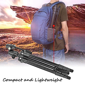 Abithid Camera Tripod for DSLR,Phone Holder Tripod for Camera, Compact Light Video Vlog Blogging Stand with Quick Plate and 360°Pano rama Ball Head for Travel