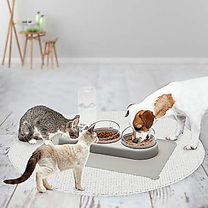 YEACHA Raised Cat Bowls, Tilt Cat Dog Food Water Elevated Bowls Set with Automatic Water Bottle, with Silicon Waterproof Mat, for Cats Small Dogs, Grey