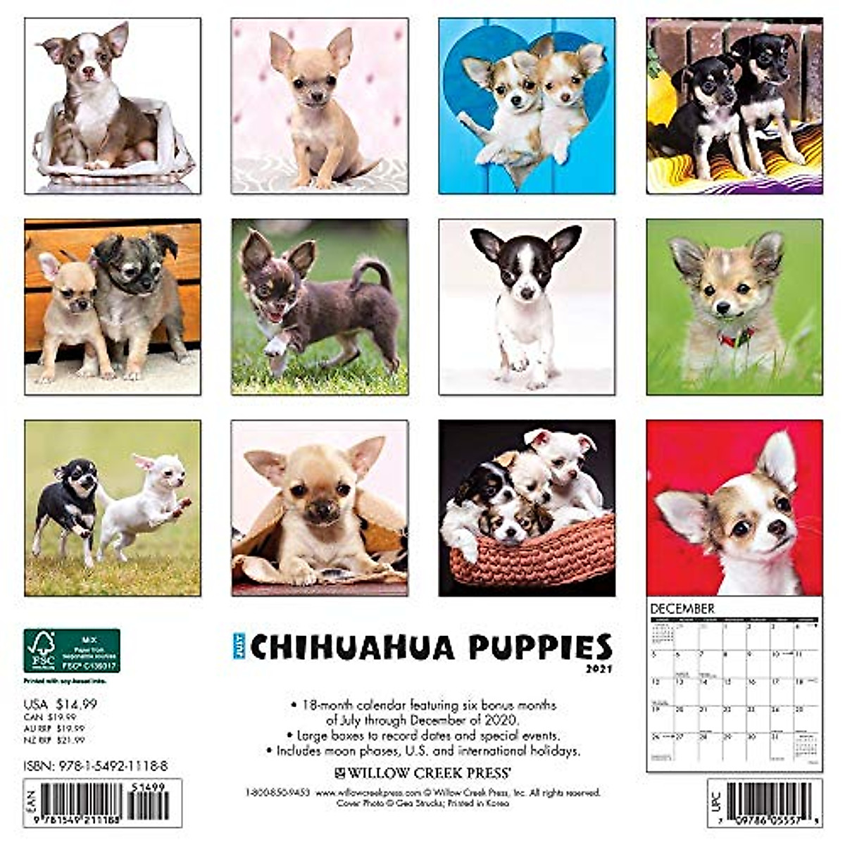 Just Chihuahua Puppies 2021 Wall Calendar (Dog Breed Calendar)