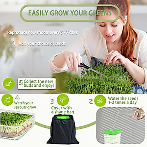 PHAIN 4-Tier Seed Sprouting Kit with Drain Holes and Drain Tray, Upgrade Stackable Microgreens Fresh Organic Bean Seed Sprouter Tray Ripple Soil-Free Sprouter Tray for Beans Alfalfa Seeds