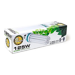 SunBlaster SL0900163 Full Spectrum CFL 6400K Self Ballasted Light Bulb for Indoor Grow Lamp and Hydroponic Systems with Mogul Socket, 125 Watts