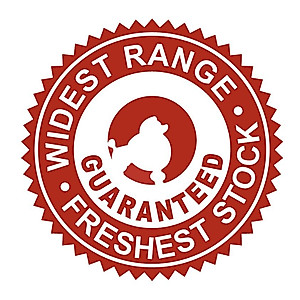 Everyday Isle of Dogs Clean Coating Dog Shampoo, Red Berries + Champagne, 16.9 Ounce