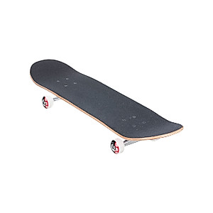 Element Seal,Assorted,8.0