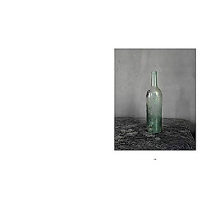 Joel Meyerowitz: Cézanne's Objects