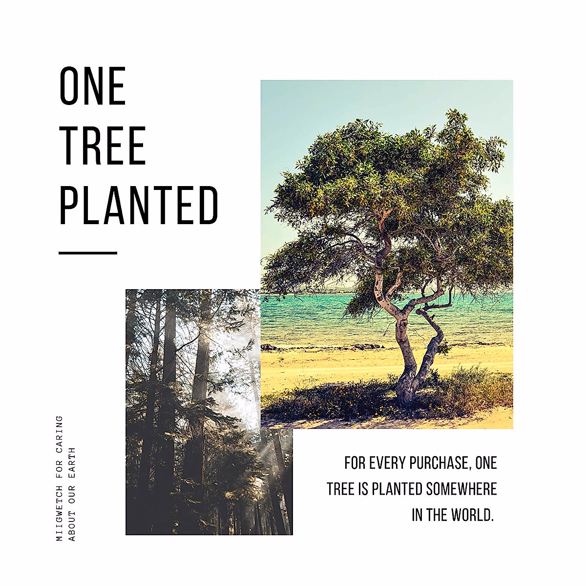 Bamboo Toothbrush 4-Pack Medium Multi-Colored Bristles Family Pack Biodegradable by Aki NEW