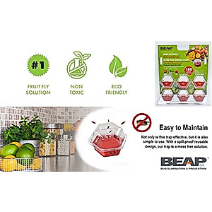 BEAPCO 10036 7 Red 6-Pack Premium Fruit Fly 6 Pre-Filled Trap Flies Indoors | Easy Effective and Safe to Use | Food-Based Lure/Bait Catcher