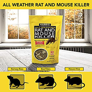 Harris Rat & Mouse Killer, 64 Pack Bait Bars