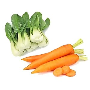 Bundle Vegetable Seeds for Planting: Baby Bok Choy Seeds + Carrot Seeds