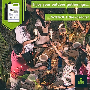 Z-Defense Patio, Lawn and Garden Spray Permethrin Insecticide, Gallon with Battery Operated Wand/Sprayer. Permethrin Based Pesticide Kills Ticks, Fleas, Flies, Spiders, Ants and Mosquitoes.