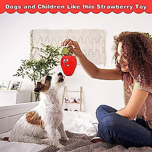 BAPSOUZU Squeaky Dog Chew Toys for Aggressive Chewers, Rubber Indestructible Tough Durable Dogs Toys Interactive Puppy Teeth Clean (Red Strawberry)