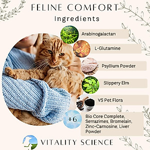 Vitality Science Feline Comfort for Cats | Maintains a Healthy Intestinal Tract and Proper Gut Flora | Restores Gastric Stability | for Vomiting and Diarrhea | 100% Additive Free (Seafood, 98g)