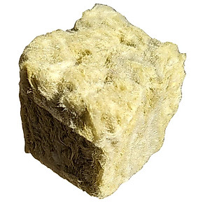 Lollo Darki Lettuce Seed Pods (3) for HydroGarden