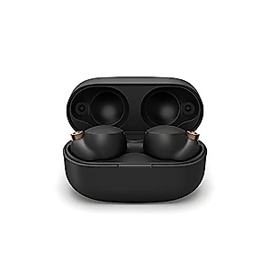 Sony WF-1000XM4 Industry Leading Noise Canceling Truly Wireless Earbud Headphones with Alexa Built-in, Black WF1000XM4/B with Charging Case Bundle with Deco Gear Portable Charger