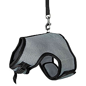 Trixie Pet Product 61512 Soft Harness with Leash for Small Animals Medium