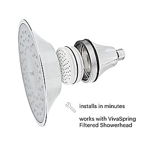 Brondell FF-15X2 Replacement Water Filter for VivaSpring Filtered Shower Head, Lasts 6 Months, 2-Pack