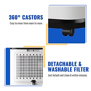 WANAI 30 Pints Dehumidifier for Basements with Drain Hose, 2500 Sq.Ft Dehumidifiers Auto Drain or Manual Drainage, Small Dehumidifier for Home Bedroom Bathroom with 2.2L Water Tank, 3 Modes, 24Timer