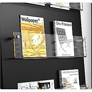 2-Pack Acrylic Magazine Holder Brochure Holder, 17" Record Holder Magazine Rack, Fashion Hanging Bookshelf Literature Storage Rack for Waiting Room, Living Room, Office, Clear 17 Inch