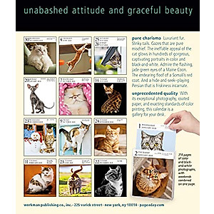 Cat Page-A-Day Gallery Calendar 2020