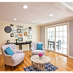 Sylvania LED R20 Flood Light Bulb, 50W = 5W, 10 Year, Dimmable, Frosted Finish, 325 Lumens, 5000K, Daylight - 2 Pack (73991), Cool White