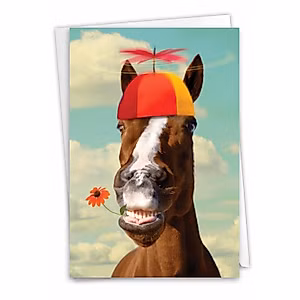 NobleWorks - 1 Happy Birthday Card with Funny Animals - Wildlife and Pet Humor, Fun Birthday Celebration Notecard - Horse Around C9304BDG