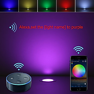 FVTLED WiFi Deck Lights Kit, 50pcs Low Voltage LED Step Lights Φ1.22 Waterproof Outdoor Recessed Stair LED Lights Work with Echo Alexa Google Home, RGB