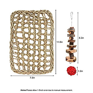 suruikei Rabbit Activity Zone Bunny Chew Toy for Teeth Grinding Small Animal Play Toy Hand Crafted Seagrass Protector Mat for Chinchilla Guinea Pigs or Other Rodent Pets (11 X 7.87-inch)