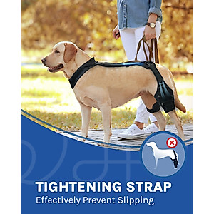 MerryMilo dog knee brace for torn acl hind leg -Upgraded Anti-Slip, Support for Cruciate Ligament Injury, Arthritis, Joint Pain, Muscle Sore, CCL Brace(Size: S, Left Leg)