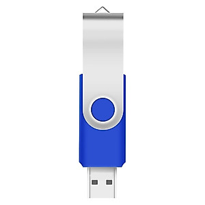 EASTBULL 2GB Flash Drive 100 Bulk USB 2.0 Fast Speed Flash Drives Pack Swivel USB Drives Pack (Blue)