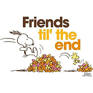 CafePress Friends Til The End 15 Oz Ceramic Large Mug Ceramic Coffee Mug, Tea Cup 11 oz